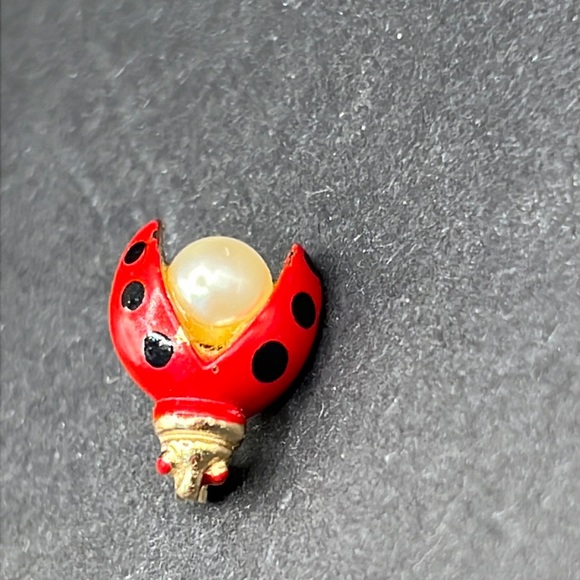 Sarah Coventry | Jewelry | Vintage Sac Ladybug Brooch | Poshmark